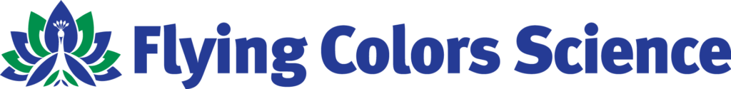 Classification of Matter Activities - Flying Colors Science
