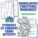Evidence of Evolution Activity BUNDLE - Flying Colors Science