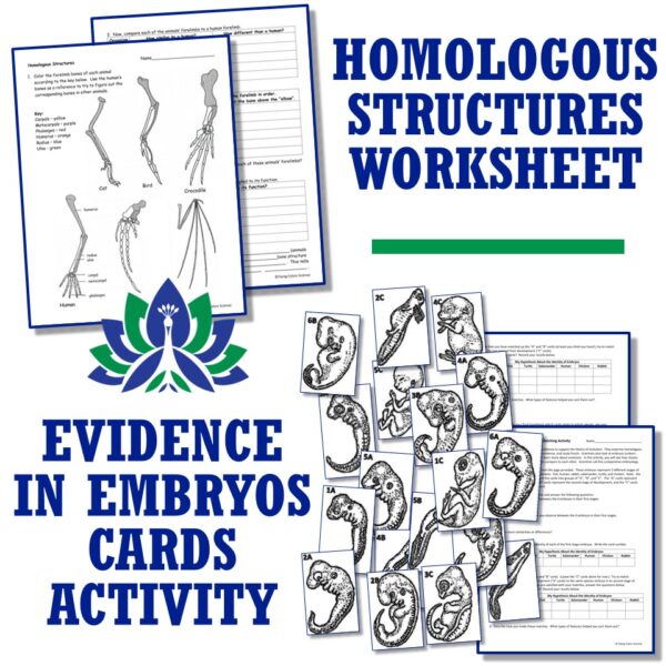 Evidence of Evolution Activity BUNDLE - Flying Colors Science