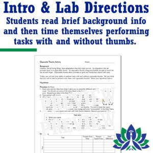 Human Evolution Activity: Opposable Thumbs Lab - Flying Colors Science