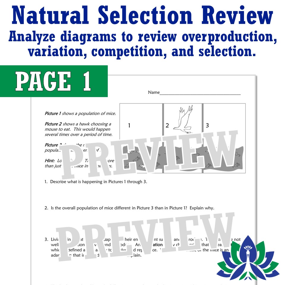 Natural Selection Worksheet - Flying Colors Science