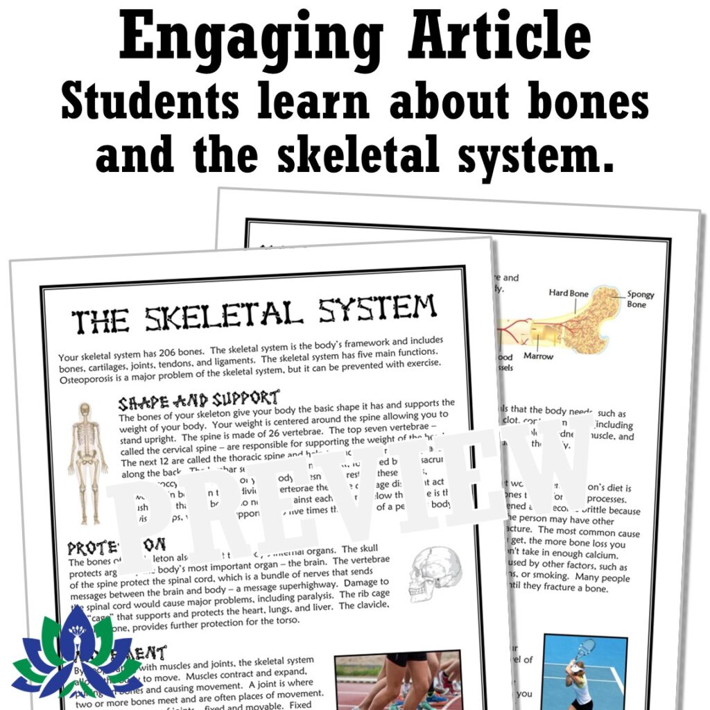 Halloween Science Activity: Skeletal System and Bones Text and ...