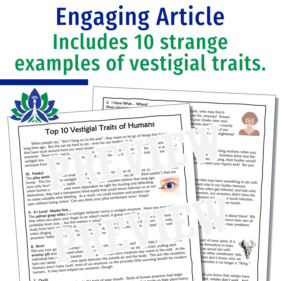 Evidence of Evolution: Vestigial Structures Article and Worksheet ...