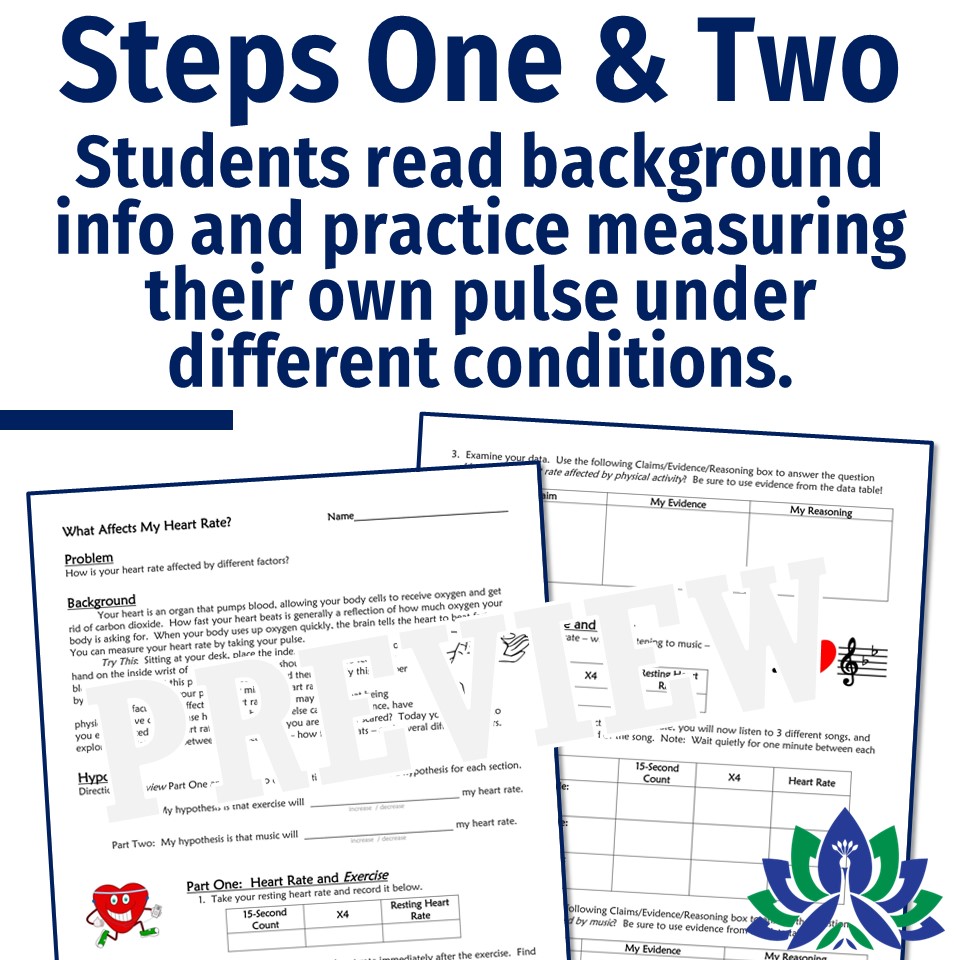 Circulatory System Heart Rate Lab - Flying Colors Science