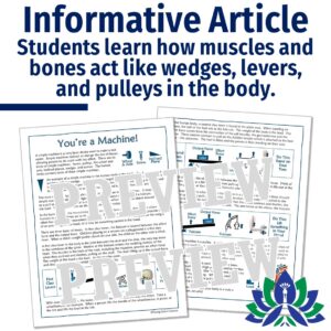 Muscles and Bones as Simple Machines in the Body Activity - Flying ...