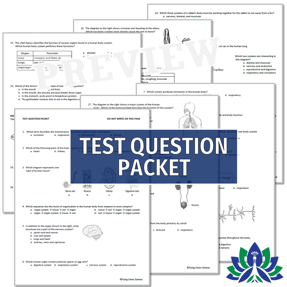 Human Body Organ Systems Test - Flying Colors Science