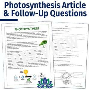 Photosynthesis and Cellular Respiration Article and Worksheet Set ...