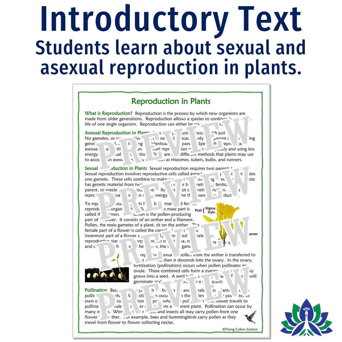 Specialized Structures for Plant Reproduction Activity - Flying Colors ...
