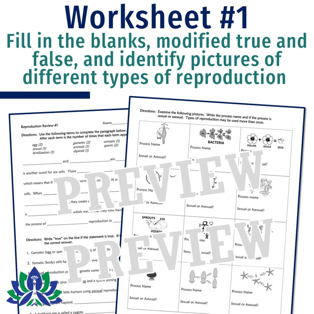 Sexual and Asexual Reproduction Worksheets (Set of 3) - Flying Colors ...