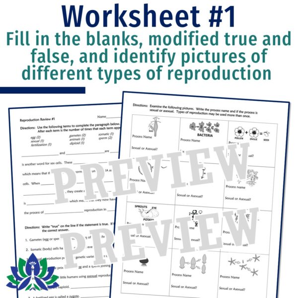 Sexual and Asexual Reproduction Worksheets (Set of 3) - Flying Colors ...