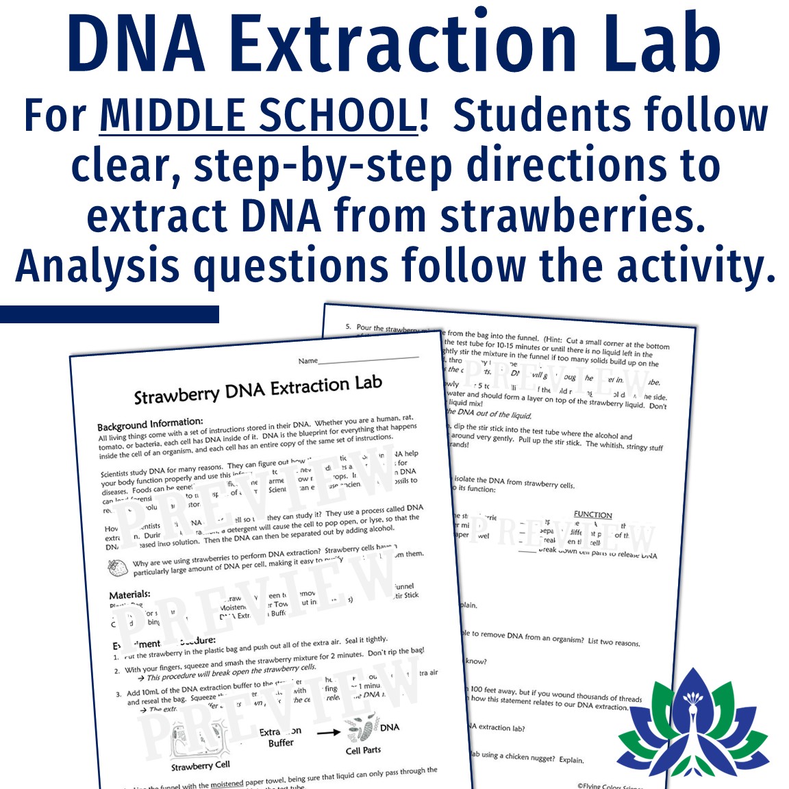 Strawberry DNA Lab - Flying Colors Science