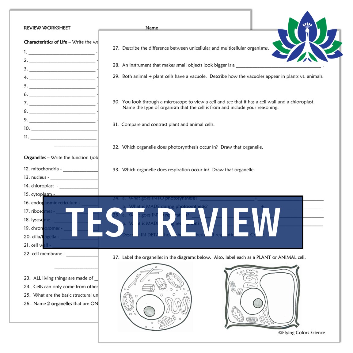 Cells and Organelles Test - Flying Colors Science