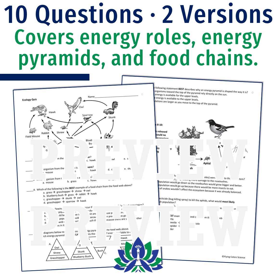 Food Chains and Energy in Ecosystems Quiz - Flying Colors Science