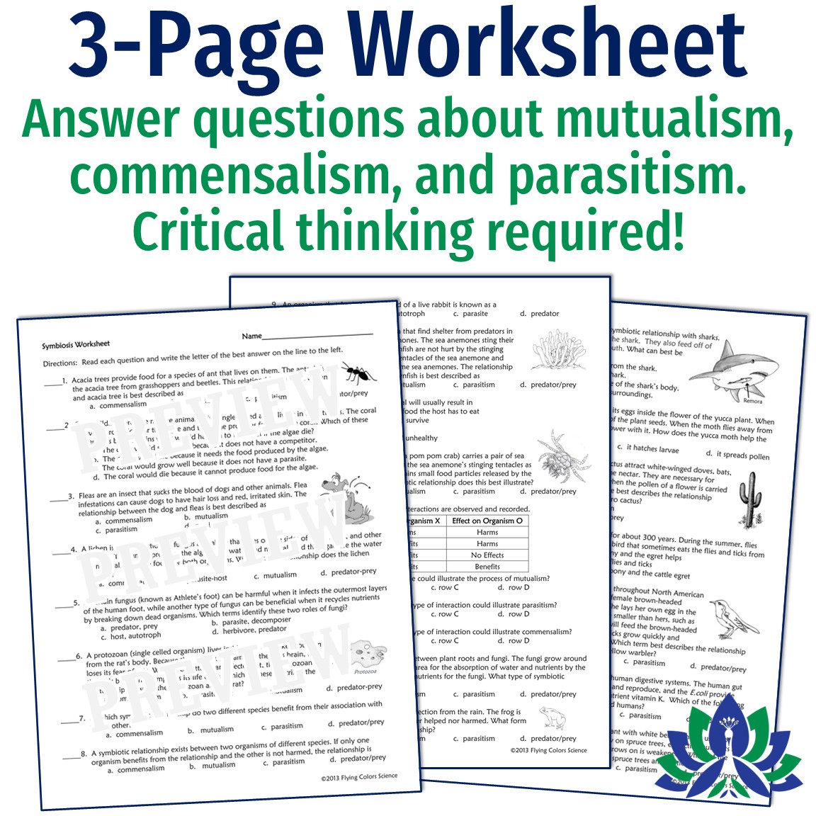 Symbiosis Worksheet - Flying Colors Science