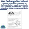 Gas Exchange in the Alveoli Respiratory System Worksheet - Flying ...