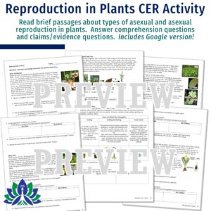 Sexual and Asexual Reproduction ACTIVITIES BUNDLE - Flying Colors Science
