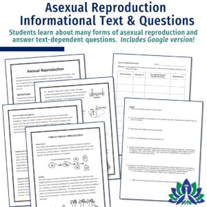 Sexual and Asexual Reproduction ACTIVITIES BUNDLE - Flying Colors Science