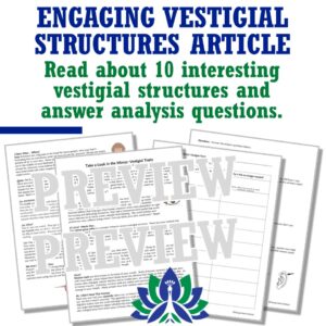 Evidence of Evolution Activity BUNDLE - Flying Colors Science
