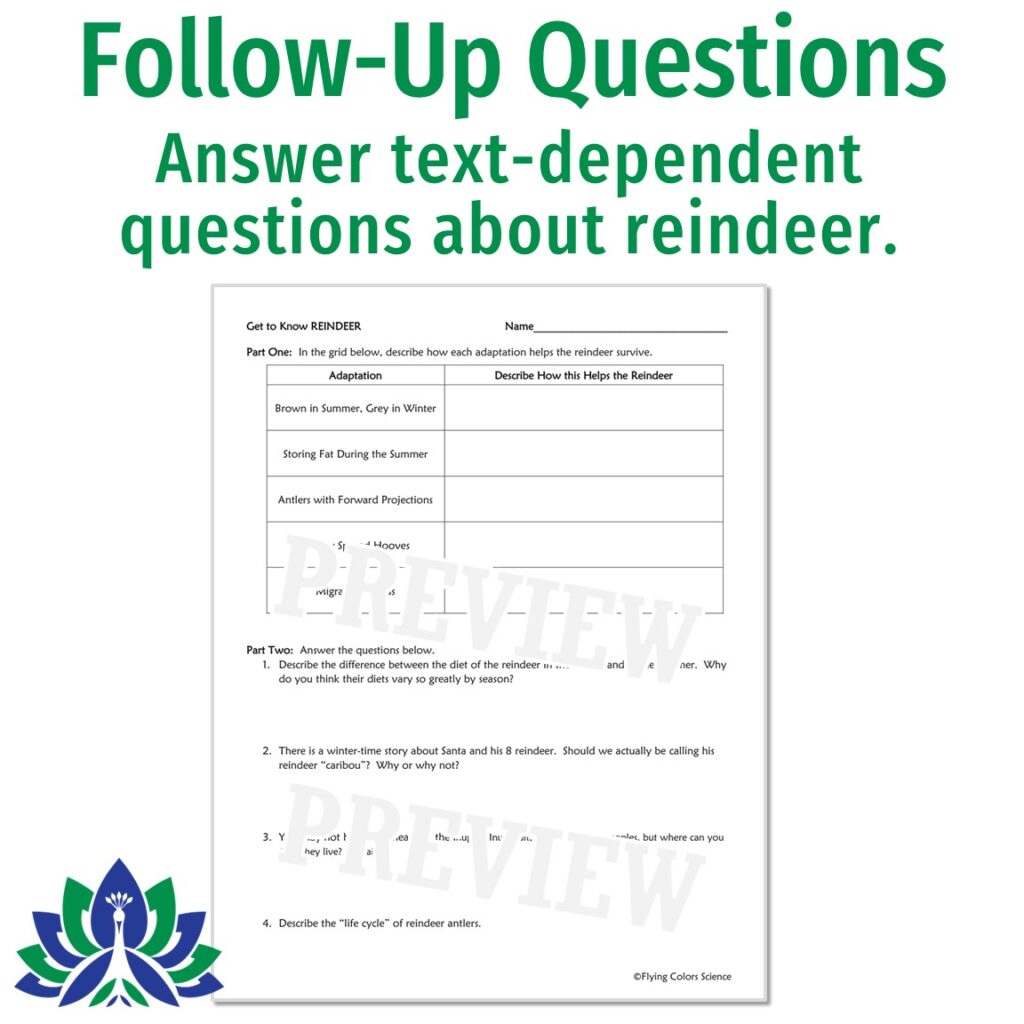 Reindeer Science Activity: Adaptations & Homologous Structures - Flying ...