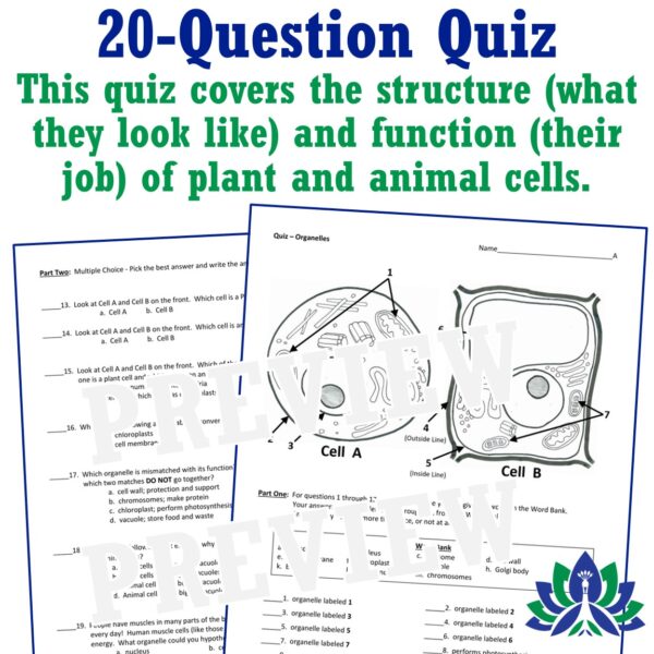Plant and Animal Cell Organelles QUIZ - Flying Colors Science