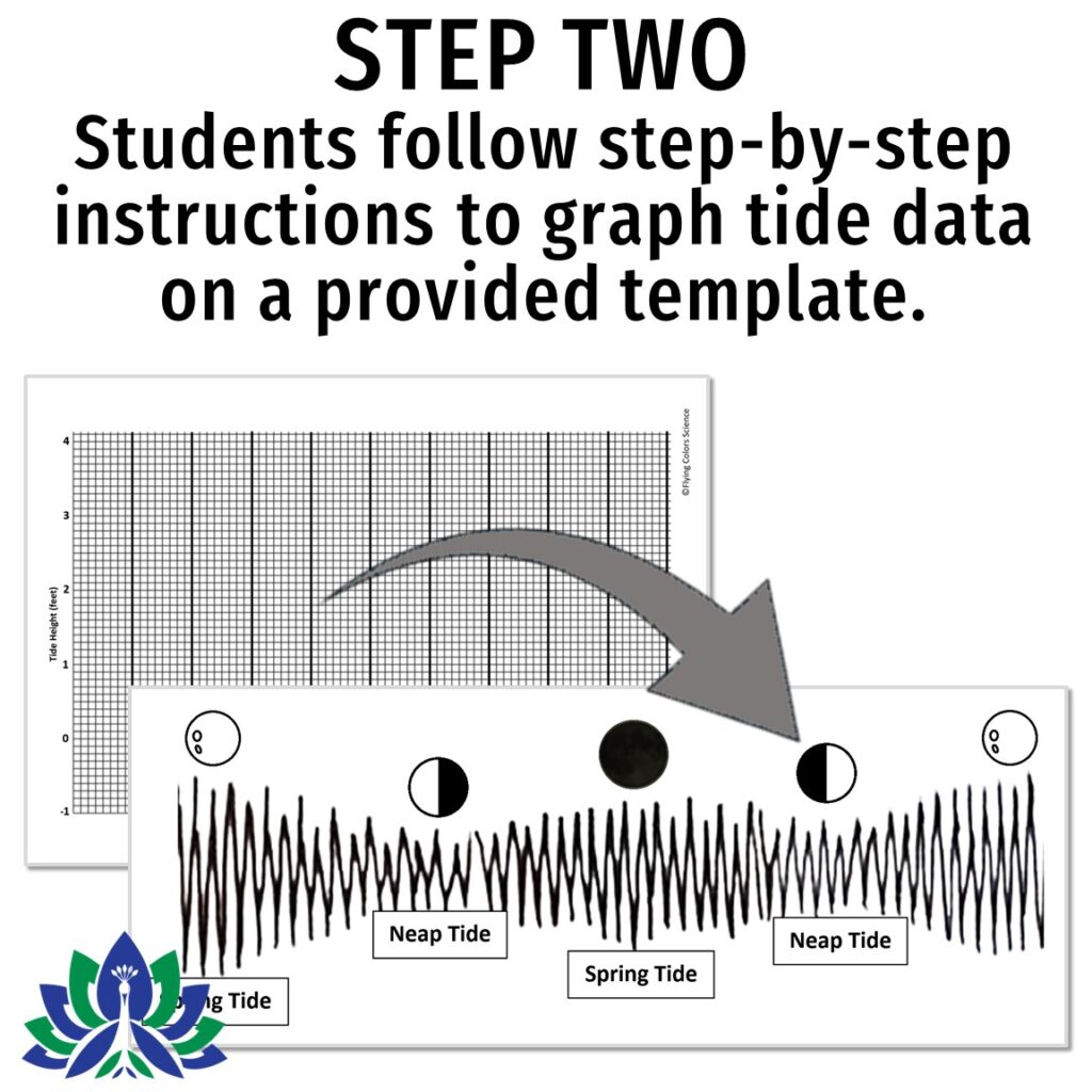 Graphing Ocean Tides Activity - Flying Colors Science