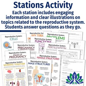 Reproductive System Unit - Flying Colors Science