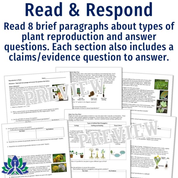 Specialized Structures for Plant Reproduction Activity - Flying Colors ...
