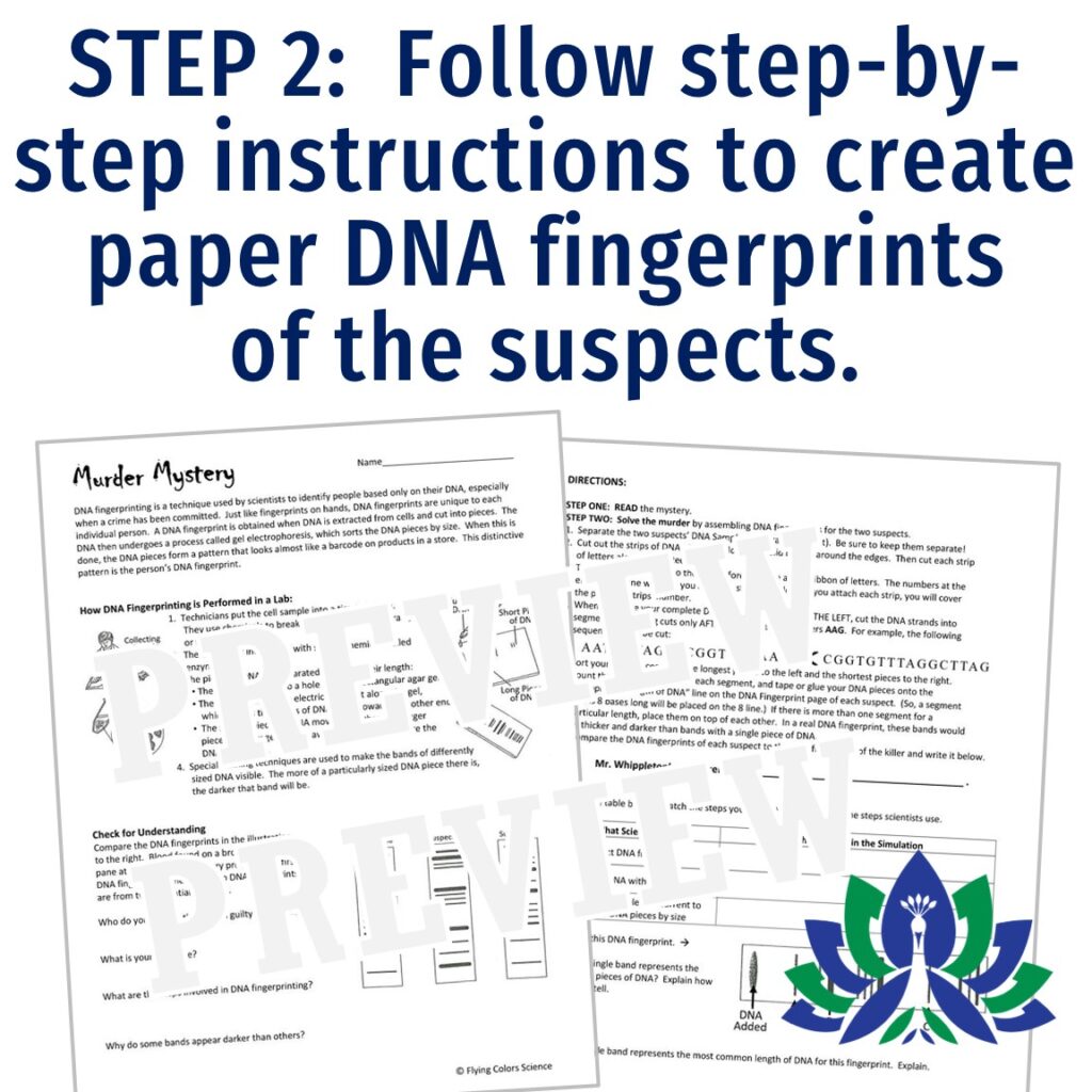 Introduction to DNA Fingerprinting Activity - Flying Colors Science