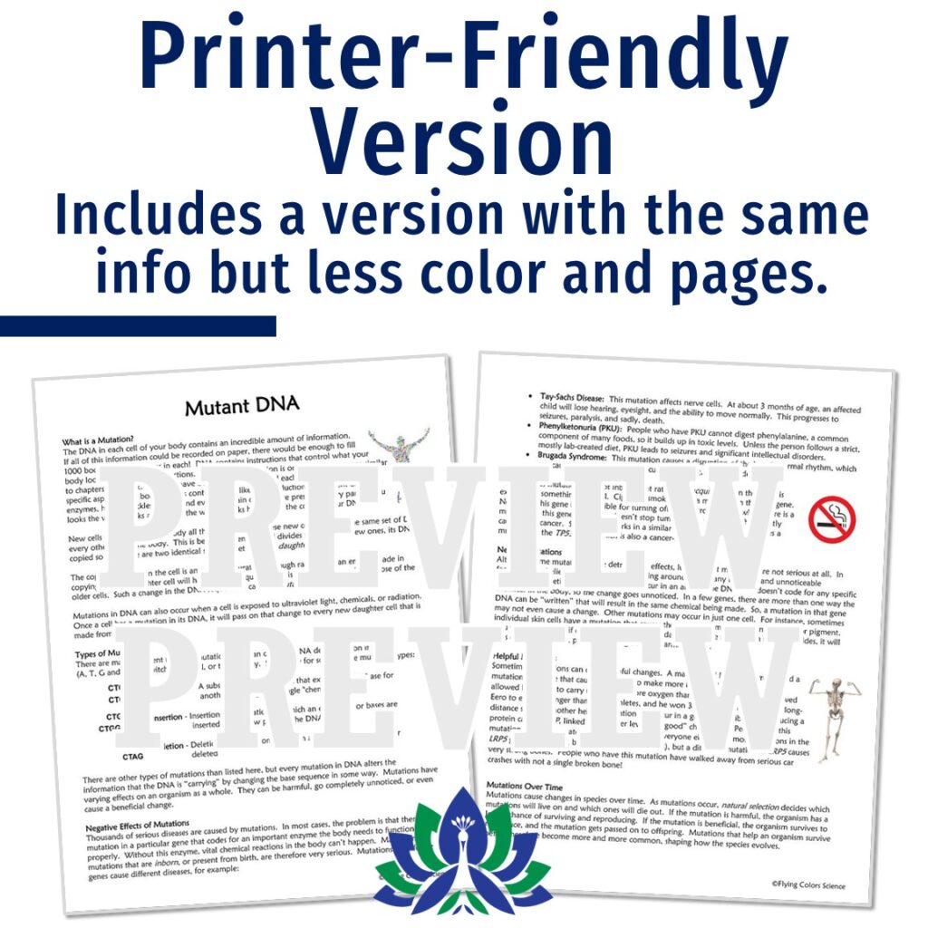 DNA Mutations Reading and Worksheet - Flying Colors Science