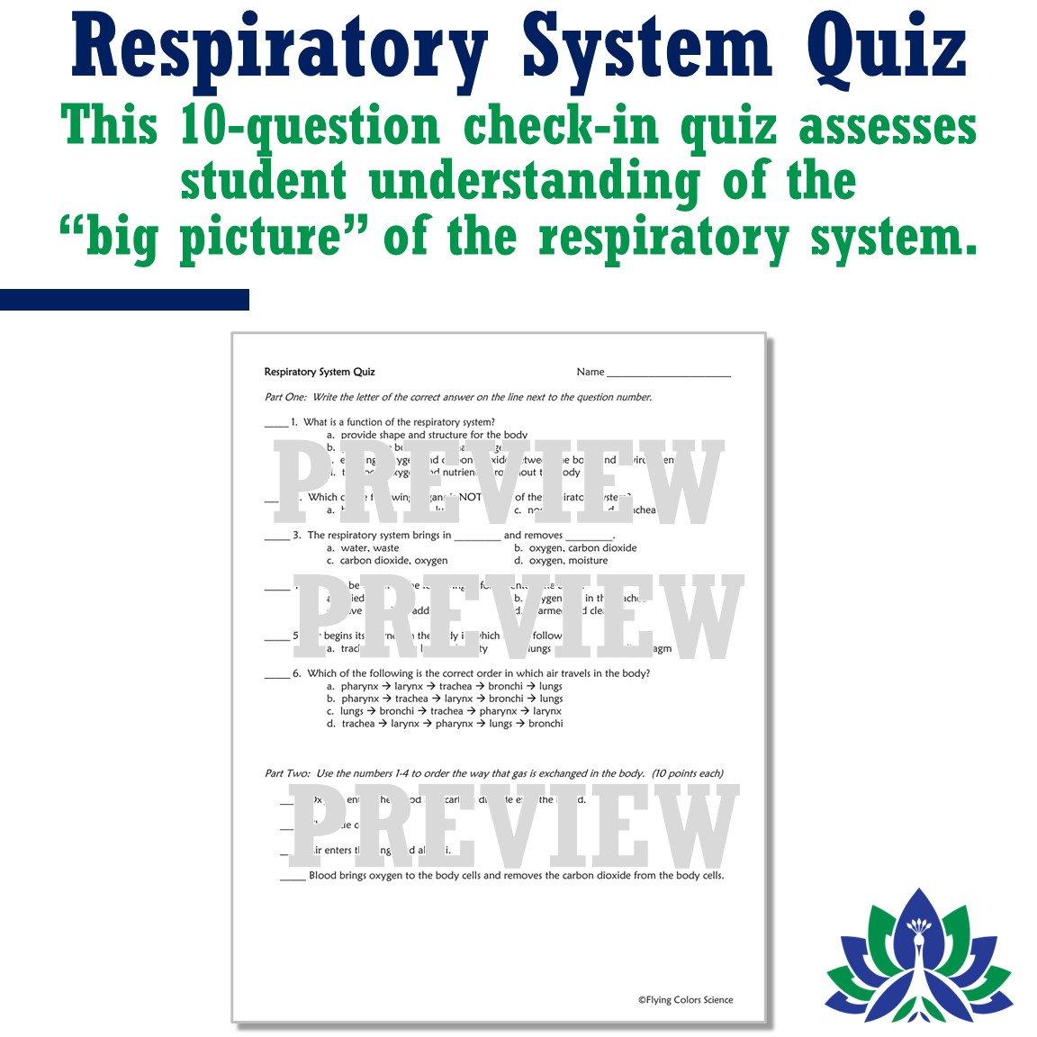 Introduction to the Respiratory System Notes and Quiz - Flying Colors ...
