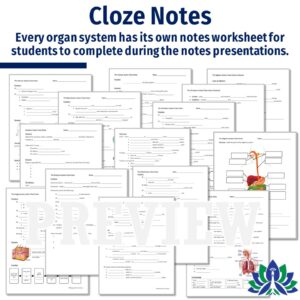 Human Body Organ Systems Notes and Quizzes - Flying Colors Science