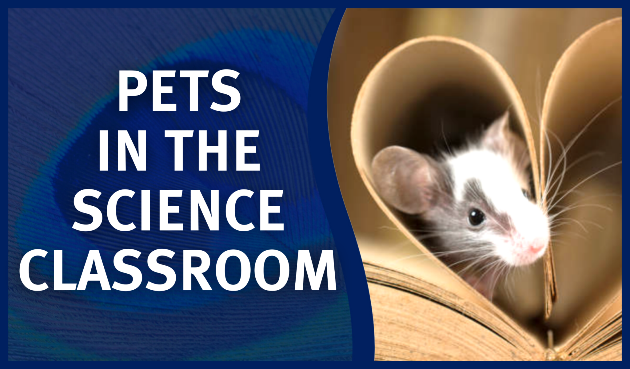 Pets in the Science Classroom - Flying Colors Science