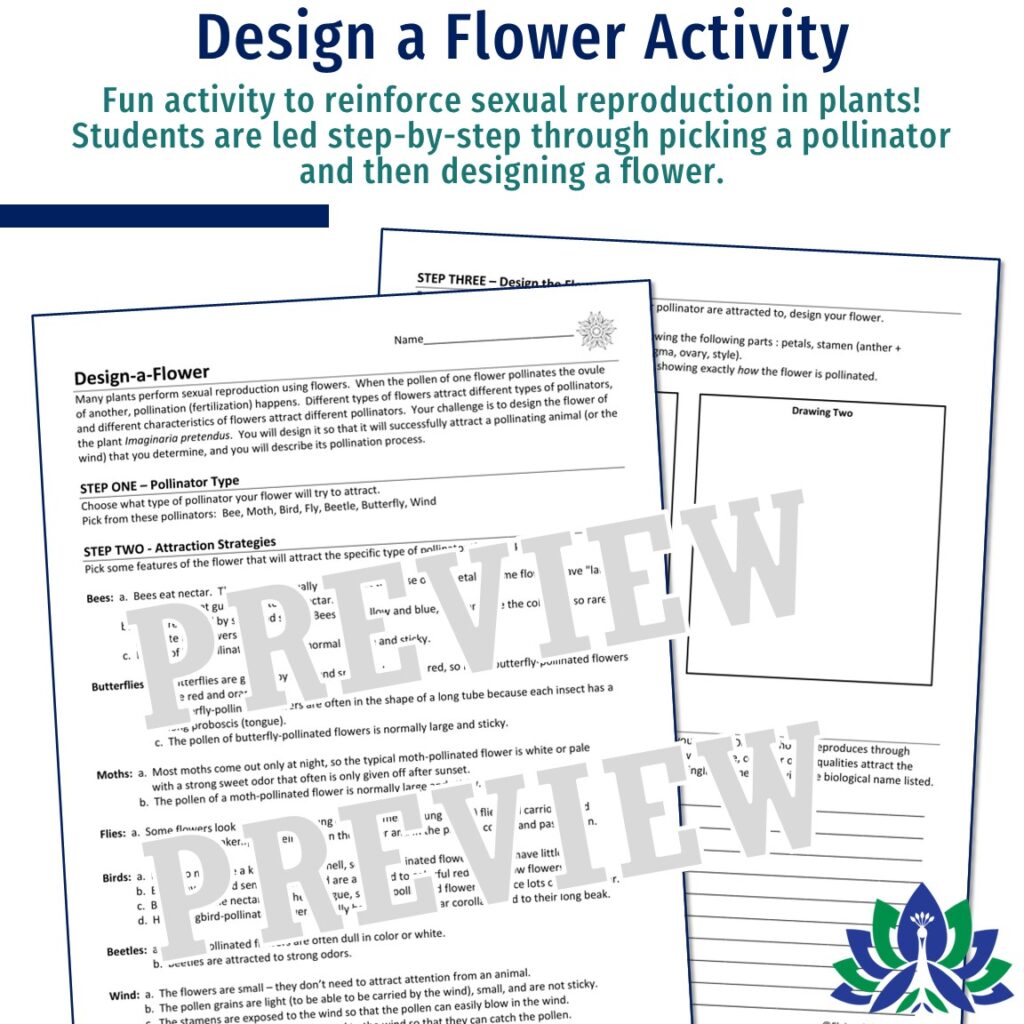 Sexual and Asexual Reproduction ACTIVITIES BUNDLE - Flying Colors Science