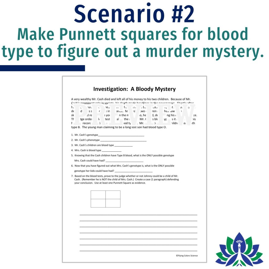 Blood Type and Codominance Genetics Worksheet - Flying Colors Science