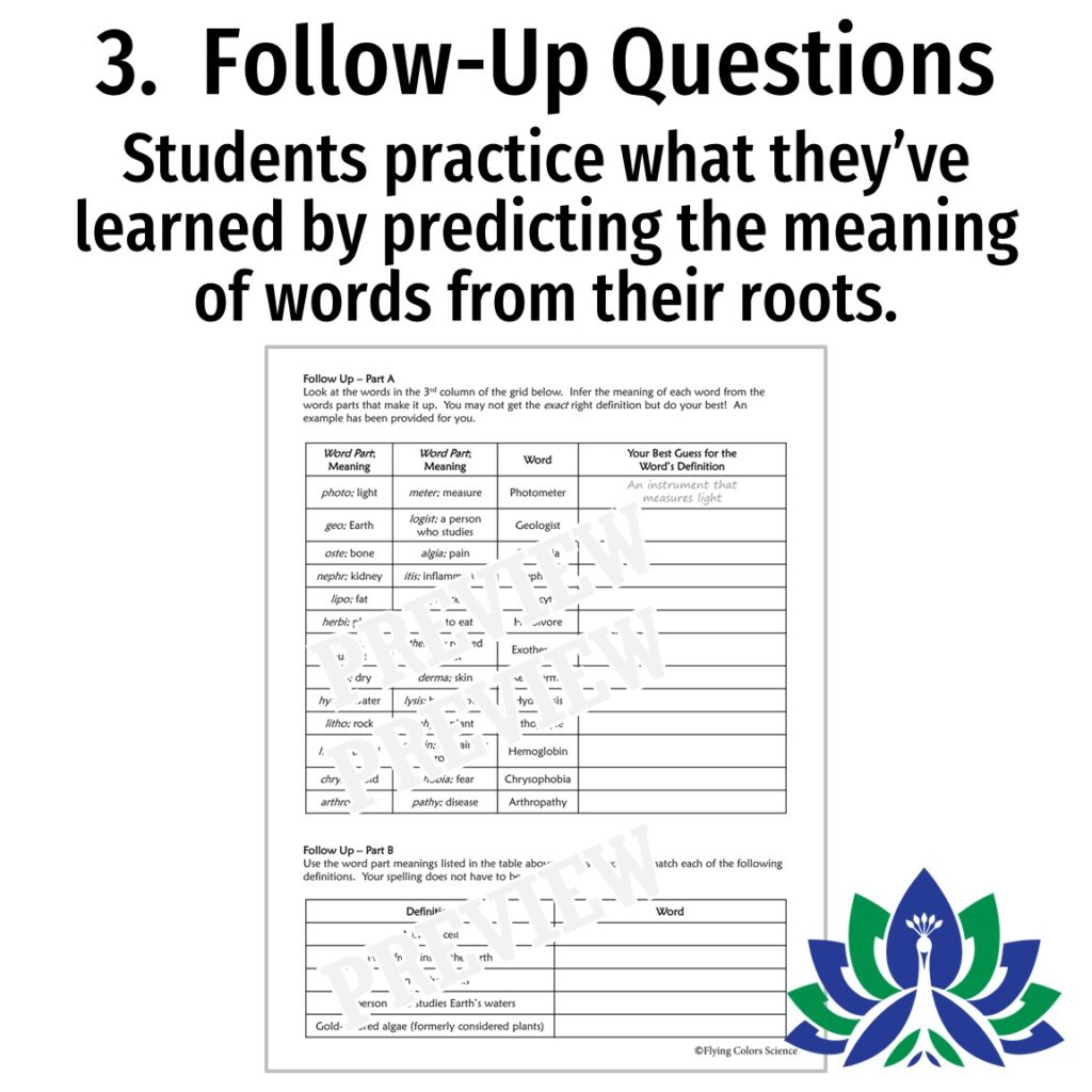 Science Root Words Activity - Flying Colors Science