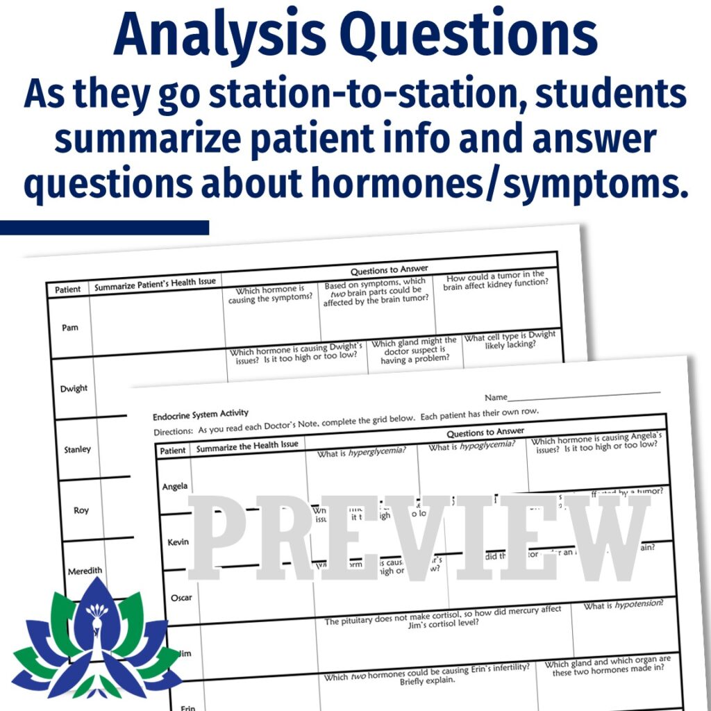 Hormones Glands and the Endocrine System Activity - Flying Colors Science