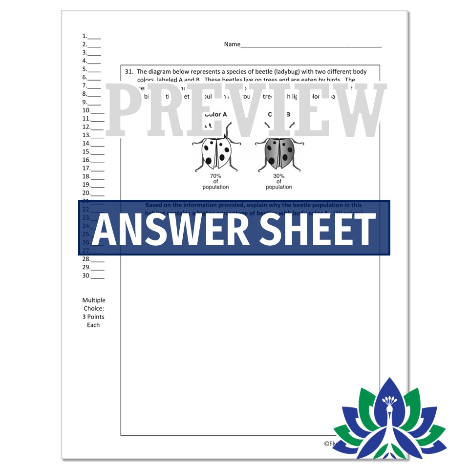 Evolution Test with Review Worksheet - Flying Colors Science