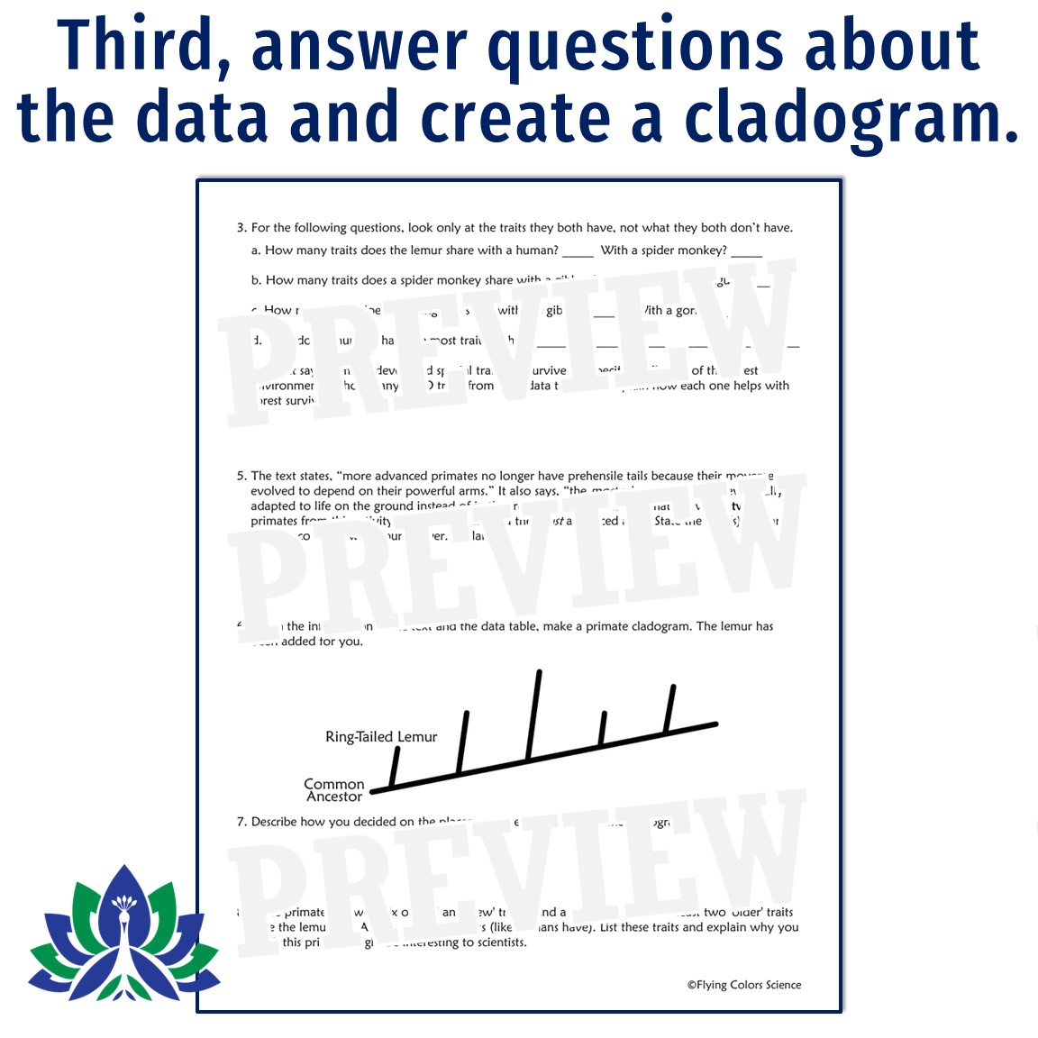 Primate Cladogram Activity - Flying Colors Science