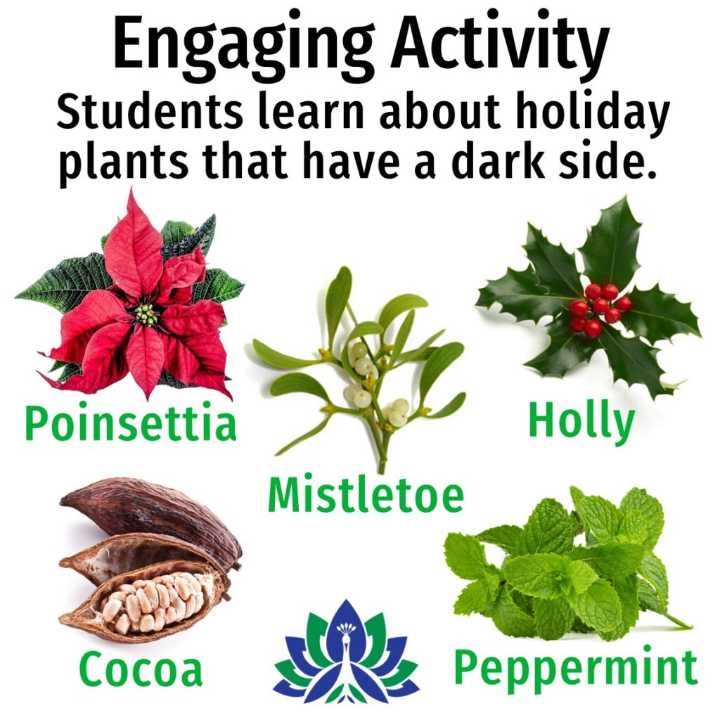 Christmas Science Activity: Plants of the Holiday Article - Flying ...
