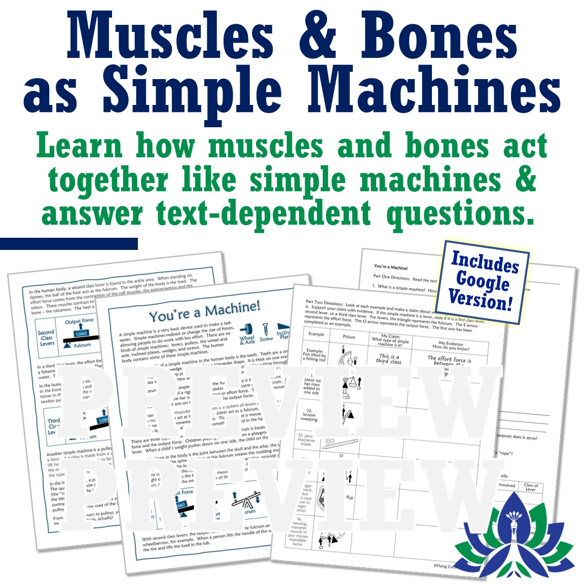 Muscles and Bones Musculoskeletal System Unit - Flying Colors Science