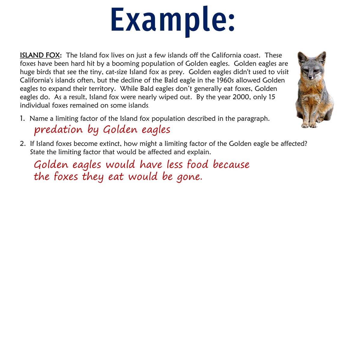 Limiting Factors Activity: Endangered Species - Flying Colors Science
