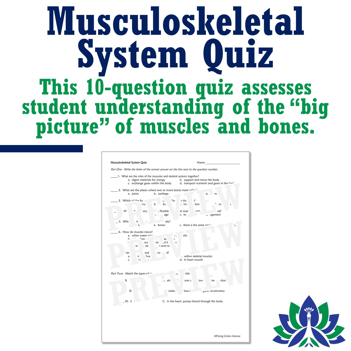 Muscles and Bones Musculoskeletal System Unit - Flying Colors Science