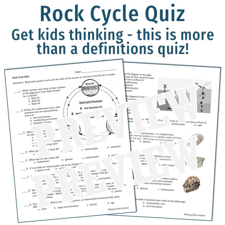 Rock Cycle Notes and Quiz - Flying Colors Science