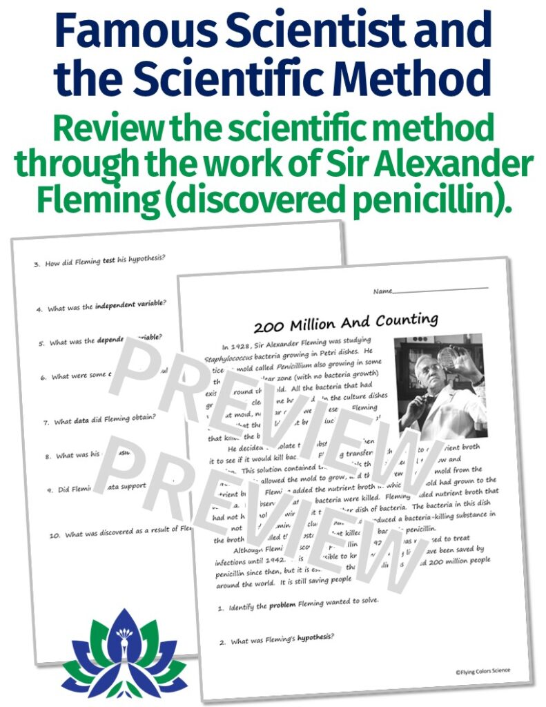 Scientific Method Worksheet and Activity BUNDLE - Flying Colors Science