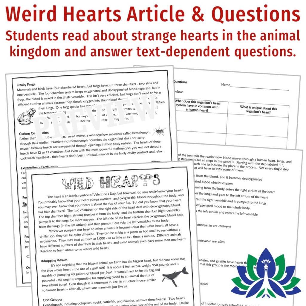 Valentine's Day Science Activity Bundle - Flying Colors Science