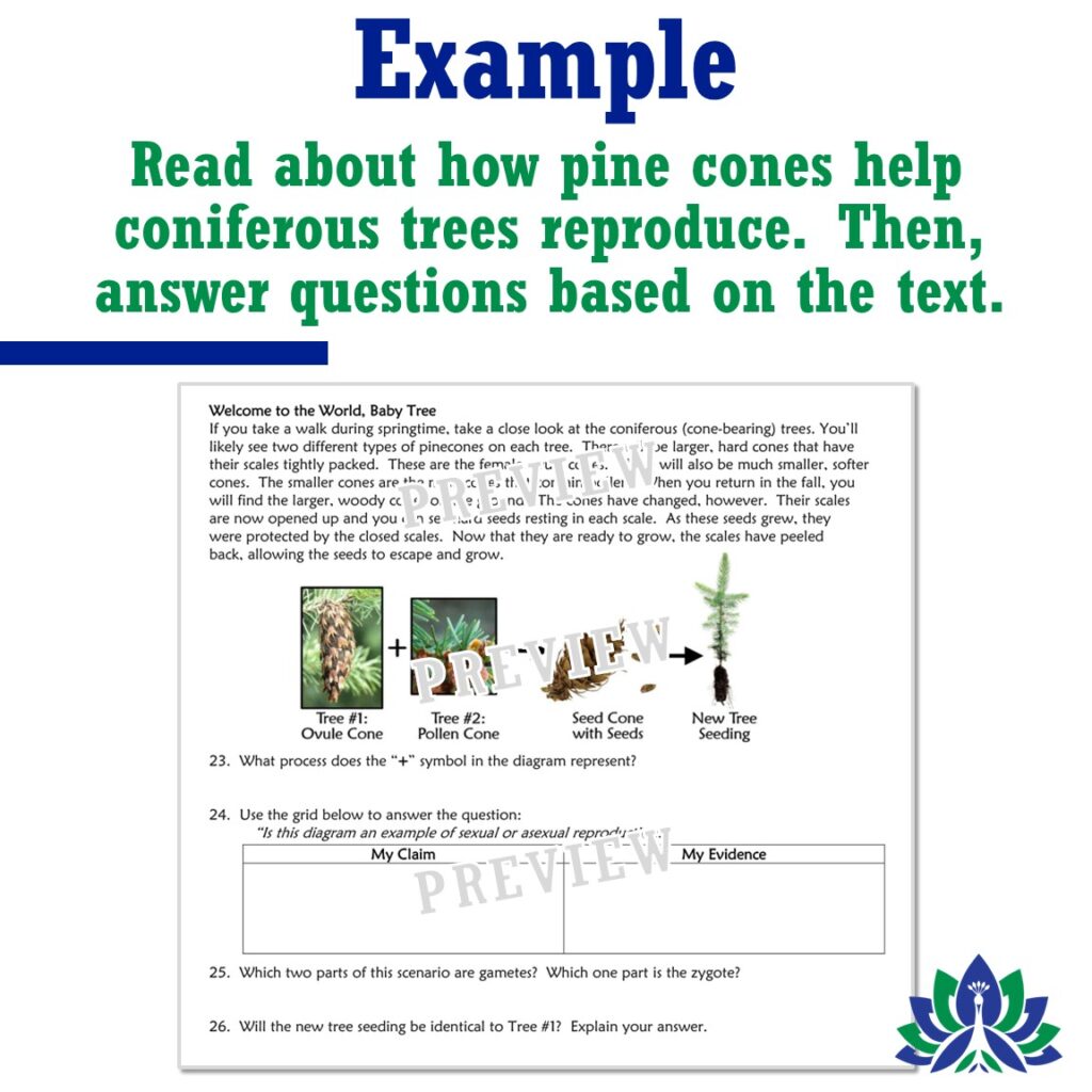 Specialized Structures for Plant Sexual and Asexual Reproduction Lesson ...