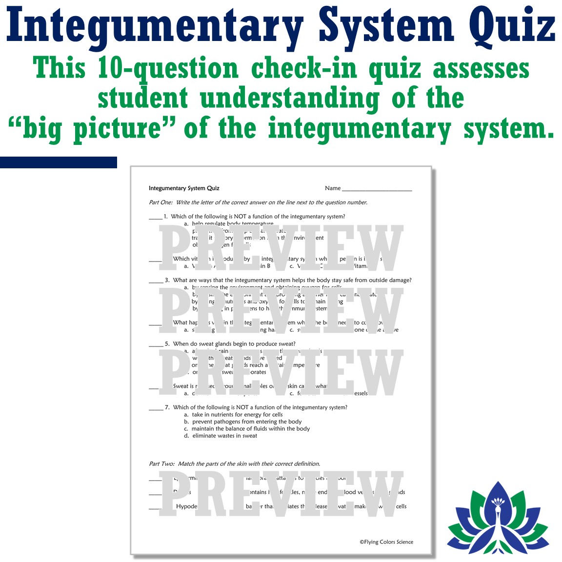 Complete Skin and Integumentary System Unit - Flying Colors Science