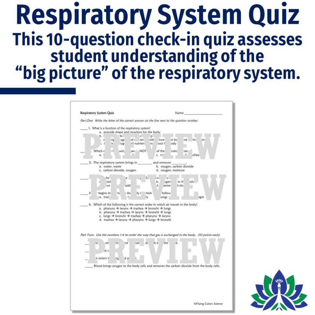 Respiratory System Notes and Quiz - Flying Colors Science