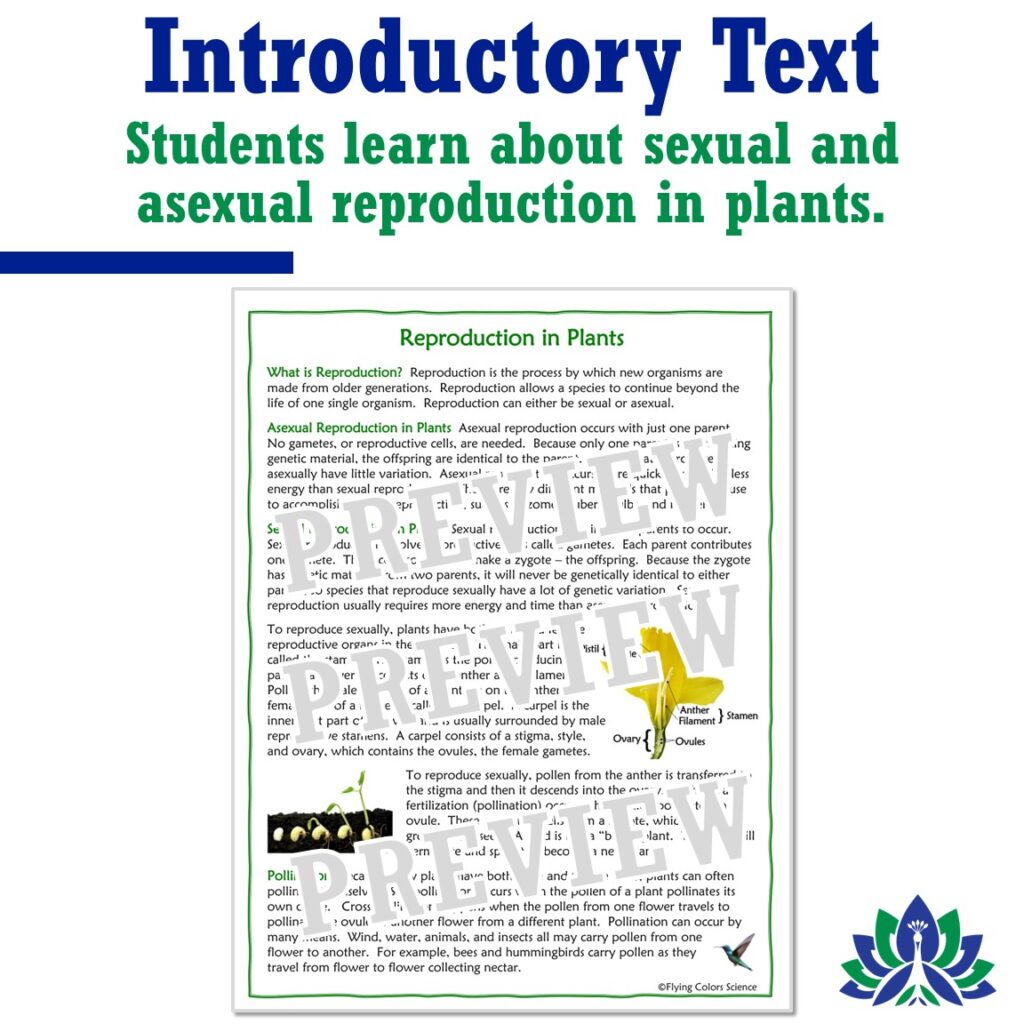 Specialized Structures for Plant Sexual and Asexual Reproduction Lesson ...