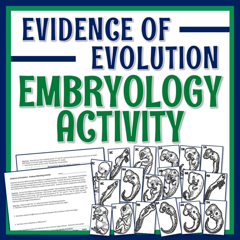 Evidence of Evolution: Embryology Activity - Flying Colors Science